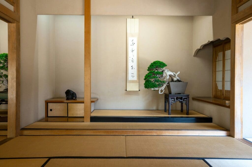 Tea Ceremony Experiences in Kyoto: What’s Actually Worth Doing